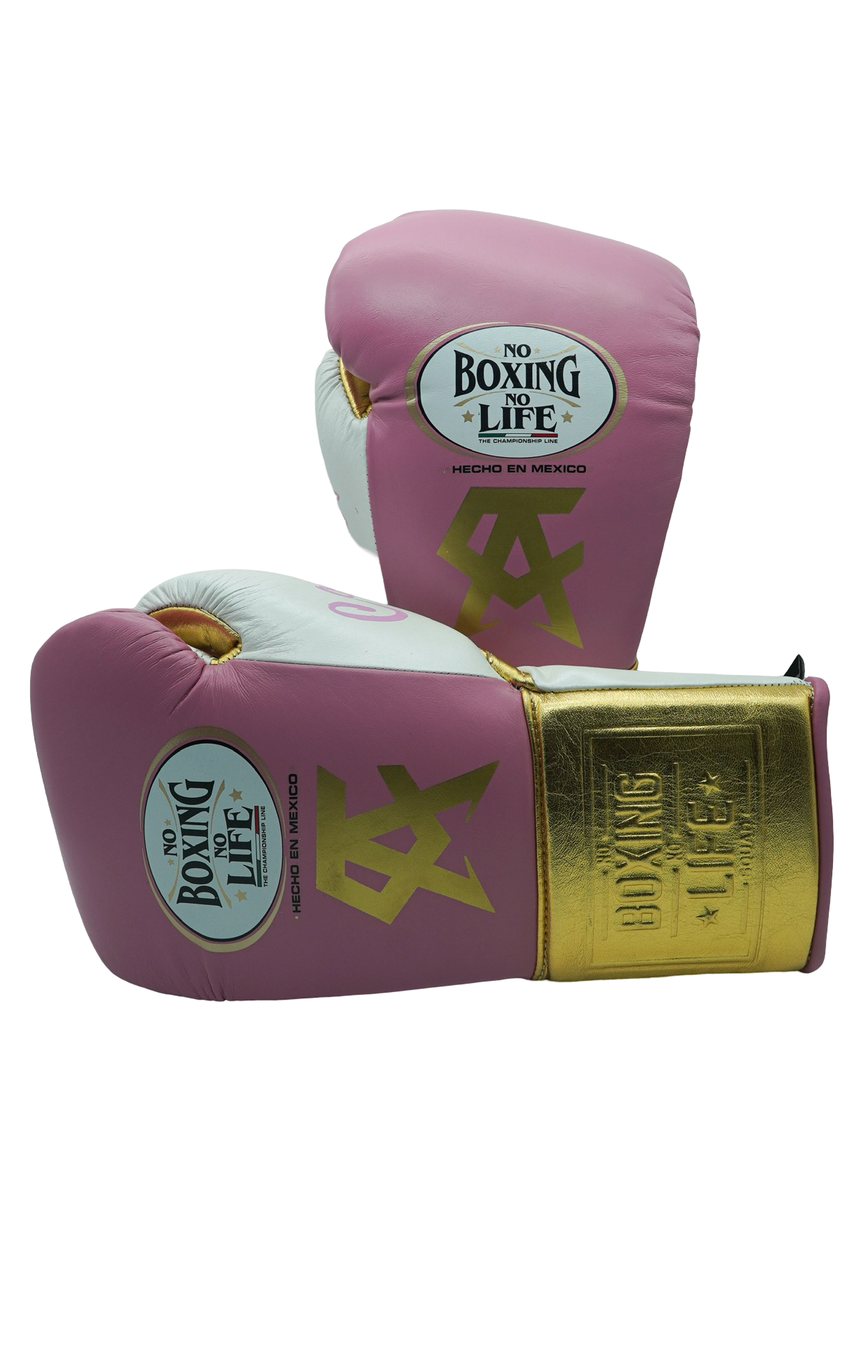 No Boxing No Life – The Boxing Collector